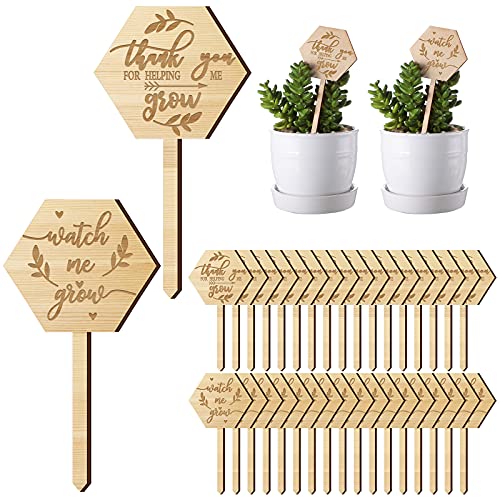 Watch Me Grow Succulent Tags Baby Shower Thank You for Helping Me Grow Plant Markers Hexagon Plant Stakes Labels Wooden Succulent Tag for Seed Flowers Garden Potted Plants (36 Pieces)