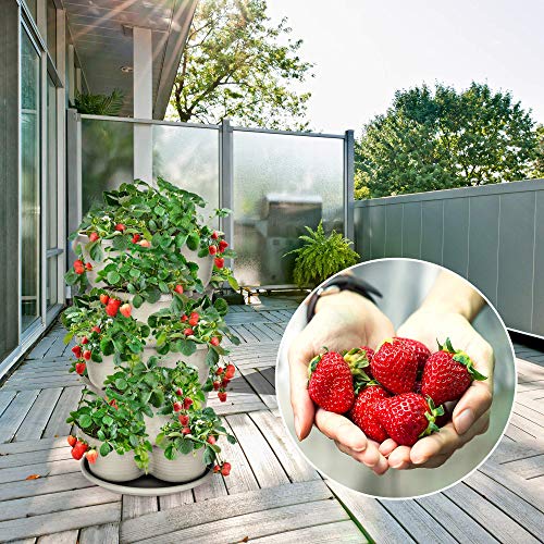 Amazing Creation Stackable Planter, Vertical Garden Planter, Strawberry Planter, Indoor/Outdoor Planters, 5 Tier Garden Tower, Herb Planter for Growing Vegetables Garden and Succulents (Off White)