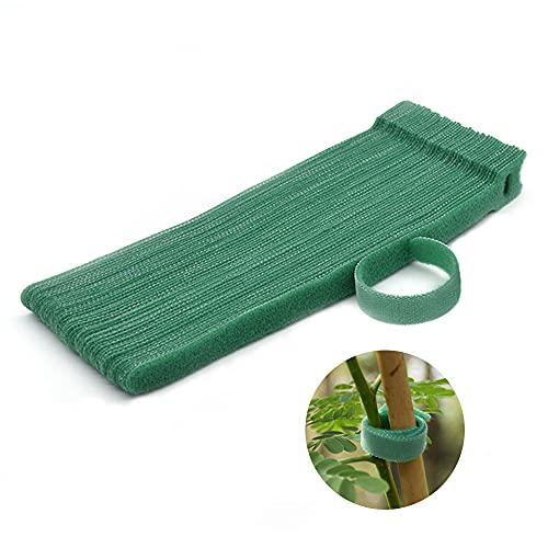 Garden Hook&Loop Plant Cable Ties, Adjustable Garden Nylon Ties for Supporting Plant and Vines, Multi-functional Garden Ties(50 Pcs, 8 Inch, Green)