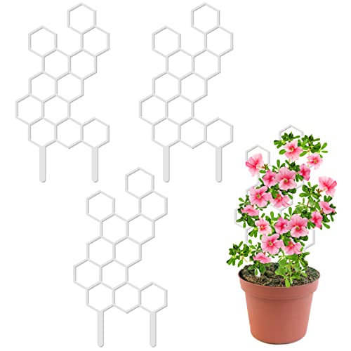 3 Pack Plastic Small Plant Trellis for Climbing Potted Plants- 15.7" × 7.9" Sturdy Honeycomb Shaped Plant Trellis Indoor Non-perishable Houseplant Trellis Starter for Outdoor Garden Flower Support