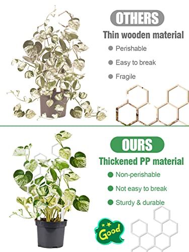 3 Pack Plastic Small Plant Trellis for Climbing Potted Plants- 15.7" × 7.9" Sturdy Honeycomb Shaped Plant Trellis Indoor Non-perishable Houseplant Trellis Starter for Outdoor Garden Flower Support