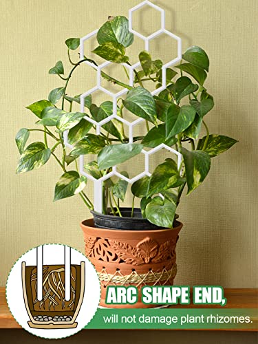 3 Pack Plastic Small Plant Trellis for Climbing Potted Plants- 15.7" × 7.9" Sturdy Honeycomb Shaped Plant Trellis Indoor Non-perishable Houseplant Trellis Starter for Outdoor Garden Flower Support