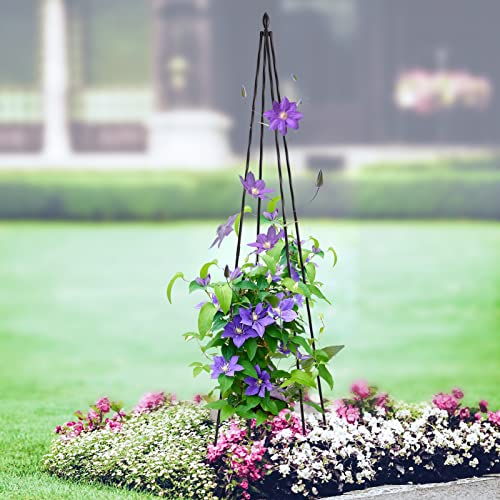 Lalahoni 2 Pack Garden Trellis for Climbing Plants Outdoor Indoor Pot | 67inch Tall Plants Trellis Support for Climbing Vines Vegetables Plants | Garden Obelisk Trellis, Lightweight, Black
