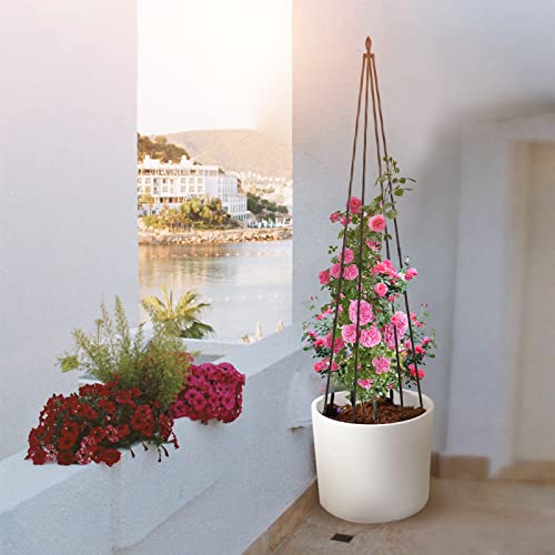 Lalahoni 2 Pack Garden Trellis for Climbing Plants Outdoor Indoor Pot | 67inch Tall Plants Trellis Support for Climbing Vines Vegetables Plants | Garden Obelisk Trellis, Lightweight, Black