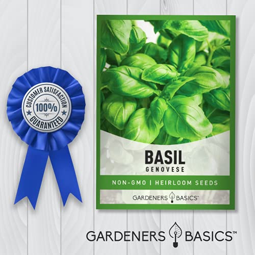 Genovese Basil Seeds for Planting Heirloom Non-GMO Herb Plant Seeds for Home Herb Garden Makes a Great Gift for Gardening by Gardeners Basics