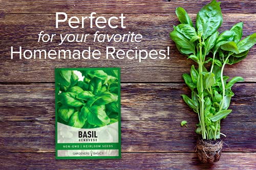 Genovese Basil Seeds for Planting Heirloom Non-GMO Herb Plant Seeds for Home Herb Garden Makes a Great Gift for Gardening by Gardeners Basics