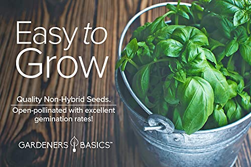 Genovese Basil Seeds for Planting Heirloom Non-GMO Herb Plant Seeds for Home Herb Garden Makes a Great Gift for Gardening by Gardeners Basics