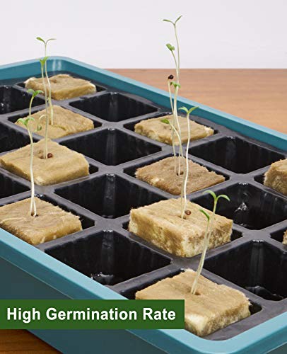 BIOMAND 1.5” Rockwool Starter Plugs for Hydroponics, Rockwool Grow Cubes, 2 Sheets of 49 Plugs, 98 Plugs Total