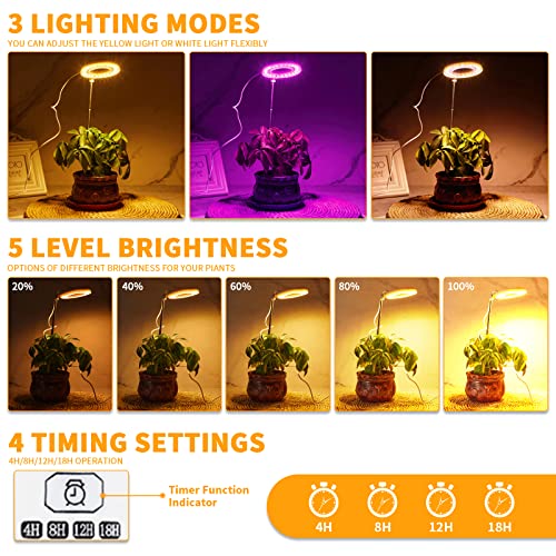 GooingTop LED Grow Light, Halo Plant Lamp for Indoor Plants Growing, White Circle Low Light for Bonsai Succulents Mini Small Plants,Upgrade Timer 4/8/12/18 Hrs (with USB Plug)
