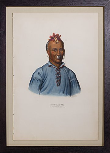 Kish-Kal-Wa, A Shawanoe Chief