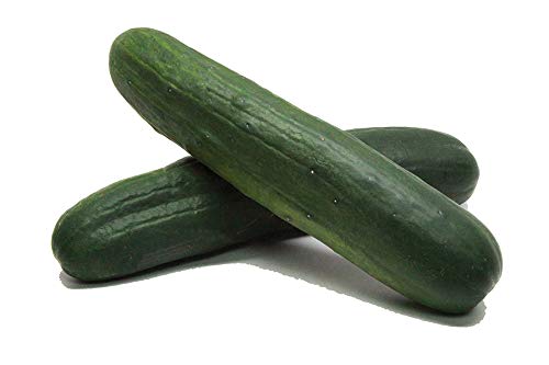 "Cobra" Cucumber Seeds for Planting, 25+ Seeds Per Packet, (Isla's Garden Seeds), Non GMO Seeds, Botanical Name: Cucumis sativus, Great Home Garden Gift