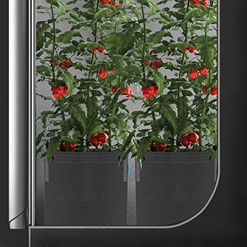 AC Infinity Heavy Duty Fabric Pots, 3 Gallon Aeration Grow Bags 5-Pack with 500G Thick Nonwoven Fabric and Multi-Purpose Rings, for Low Stress Plant Training Fruits, Vegetables, and Flowers