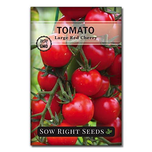 Sow Right Seeds - Large Red Cherry Tomato Seed for Planting - Non-GMO Heirloom Packet with Instructions to Plant a Home Vegetable Garden - Great Gardening Gift (1)