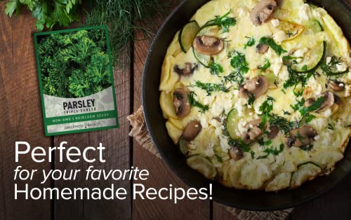 Curled Parsley Seeds for Planting Indoors and Outdoors Heirloom, Open-Pollinated, Non-GMO Curly Herb Variety- Great for Home Gardens and More by Gardeners Basics