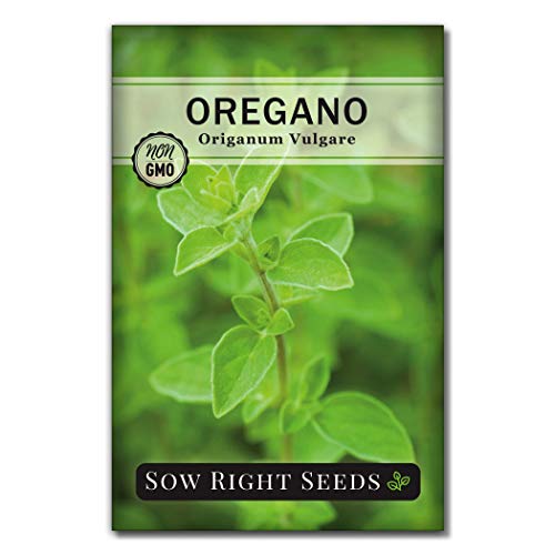 Sow Right Seeds - 5 Herb Seed Collection - Genovese Basil, Chives, Cilantro, Italian Parsley, and Oregano Seeds for Planting and Growing a Home Vegetable Garden; Fresh Assortment Herbal Variety Pack
