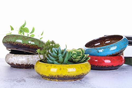 VanEnjoy 7.3 inch Round Large Shallow Succulent Ceramic Glazed Planter Pots with Drainage Hole, Bonsai Pots Garden Decorative Cactus Stand Flower Container (White)