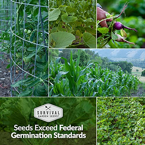 Survival Garden Seeds Home Garden Vegetable, Fruit & Herb Seed Bank Kit - 30 Pack - 18,500+ Non-GMO Heirloom Seeds Per Seed Vault - Grow Your Own Survival Food - Essential Emergency Preparedness Gear