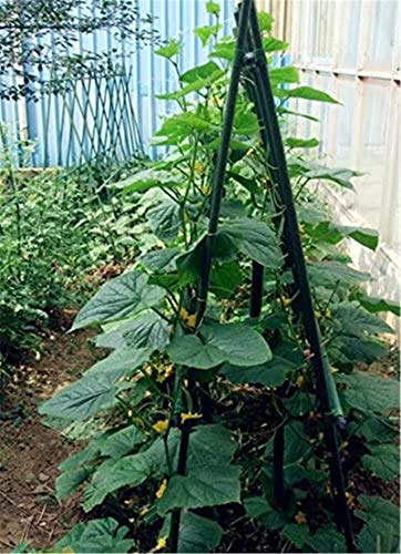 TINGYUAN Garden Stakes 48 Inches Steel Plant Stakes, Pack of 25