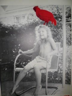 Sharon Avery / Redbird Editions, Inc. POSTER