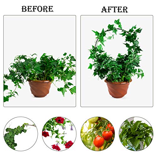 2 Pack Black Iron Garden Trellis for Climbing Plants- 13" Rust Free Vine Plant Metal Support Wire with Black Coating Decorative Potted Plants Climbing Holder Rack for Garden Stem Stalks Vines (Round)