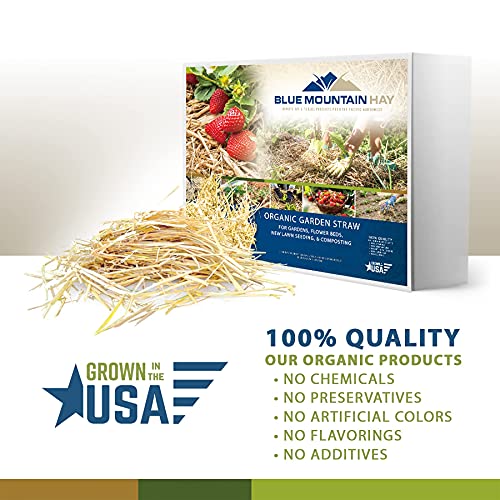 Organic Garden Straw (10lb) | Blue Mountain Hay | Straw Mulch for Raised Bed Gardens, Yard Landscaping, New Lawn Grass Seed Plantings, Tomato & Vegetable Compost & Fertilizer | Covers up to 150 sq ft