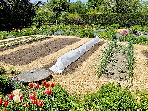 Organic Garden Straw (10lb) | Blue Mountain Hay | Straw Mulch for Raised Bed Gardens, Yard Landscaping, New Lawn Grass Seed Plantings, Tomato & Vegetable Compost & Fertilizer | Covers up to 150 sq ft