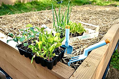 Organic Garden Straw (10lb) | Blue Mountain Hay | Straw Mulch for Raised Bed Gardens, Yard Landscaping, New Lawn Grass Seed Plantings, Tomato & Vegetable Compost & Fertilizer | Covers up to 150 sq ft