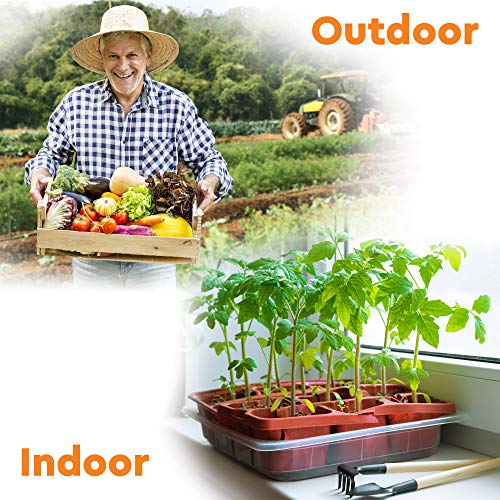 Heirloom Vegetable Seeds -100% Non-GMO - 1000 Garden Seeds Survival Pack - Tomato, Broccoli, Carrot, Celery, Cucumber Seeds and More