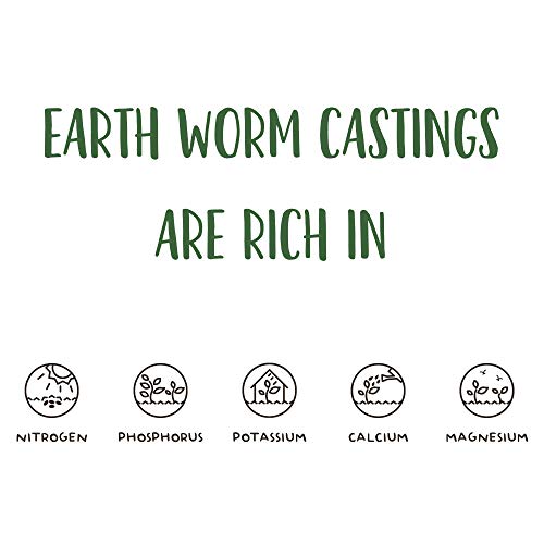 Earth Worm Castings β Organic Red Worm Compost Soil Amendment - .13 Cubic Foot ~6 Lbs - Approximately 1 Gallon - Organic Red Worm Vermiculture and Compost Home, Garden, Greenhouse, and Farm