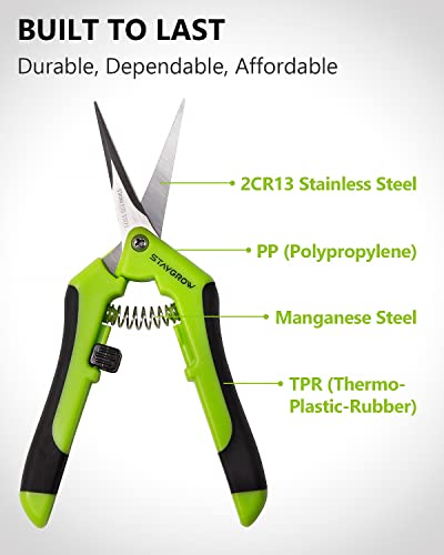 STAYGROW 2pcs 6.5" Pruning Shears for Gardening, Ultra Sharp Garden Scissors for Precise Cuts, Stainless Steel Bonsai Clippers with Spring Loaded, 6.5 Inch Garden Shears (1pc Straight & 1pc Curved)