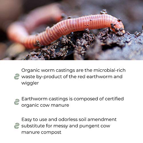 Earth Worm Castings β Organic Red Worm Compost Soil Amendment - .13 Cubic Foot ~6 Lbs - Approximately 1 Gallon - Organic Red Worm Vermiculture and Compost Home, Garden, Greenhouse, and Farm