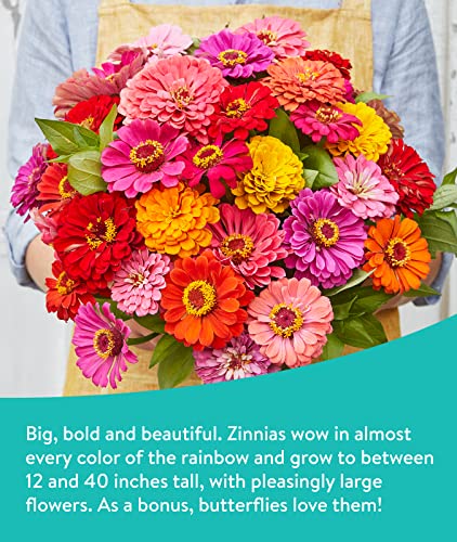 Burpee Cutting 50,000 Bulk, Multi, 1 Bag | 15 Varieties of Non-GMO Flower Perennial Wildflower Seeds Pollinator Mix | Covers 1,000 Sq. Ft, Multicolor