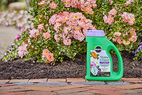 Miracle-Gro Plant Food 3002210 Shake 'N Feed Rose and Bloom Continuous Release Pl, 4.5 lb