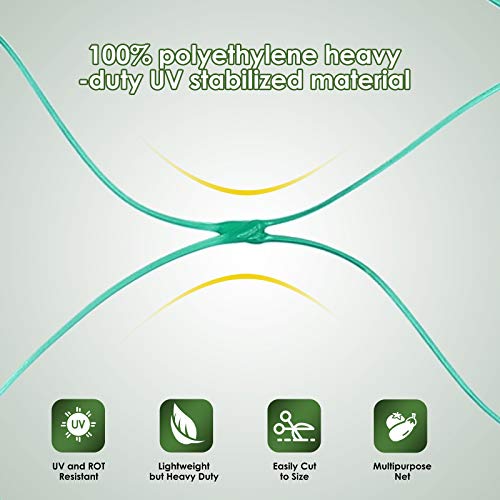 Ruolan Bird Netting for Garden Protect Vegetable Plants and Fruit Trees,Plastic Trellis Netting for Birds, Deer,Squirrels and Other Animals