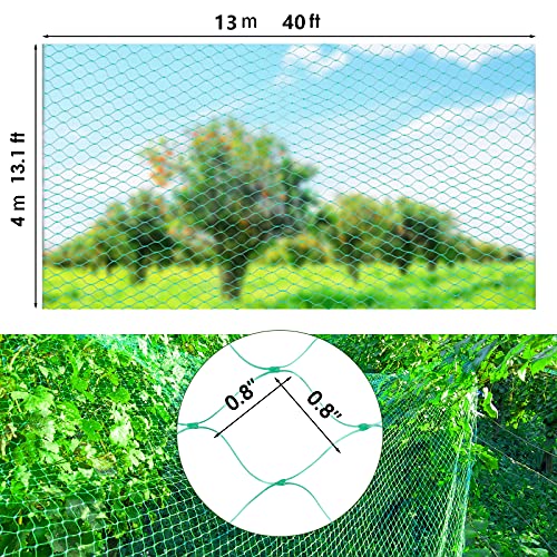 Ruolan Bird Netting for Garden Protect Vegetable Plants and Fruit Trees,Plastic Trellis Netting for Birds, Deer,Squirrels and Other Animals