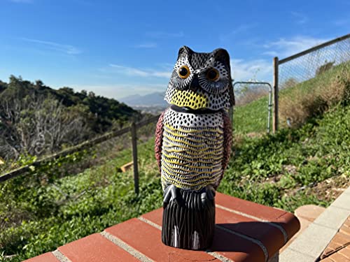 GiftExpress 2 Pk 15.5" Scarecrow Owl Decoy with Rotating Head Statue, Pest Repellent, Bird Control, Bird Deterrent, Garden Protectors, Fake Owls (2)