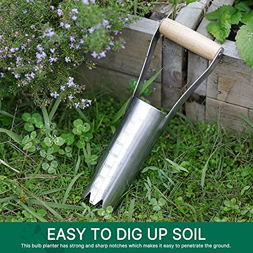 Berry&Bird Garden Bulb Planter with 6 inches Depth Mark, Garden Bulb Transplanter Tool with Woode Handle, Stainless Steel Soil Release Tool for Transplanting Digging Planting Flowers