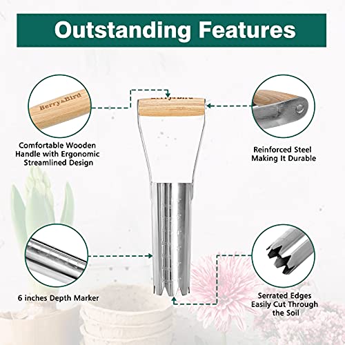 Berry&Bird Garden Bulb Planter with 6 inches Depth Mark, Garden Bulb Transplanter Tool with Woode Handle, Stainless Steel Soil Release Tool for Transplanting Digging Planting Flowers