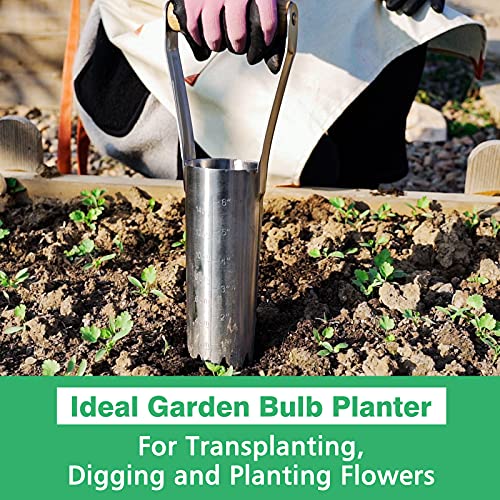 Berry&Bird Garden Bulb Planter with 6 inches Depth Mark, Garden Bulb Transplanter Tool with Woode Handle, Stainless Steel Soil Release Tool for Transplanting Digging Planting Flowers
