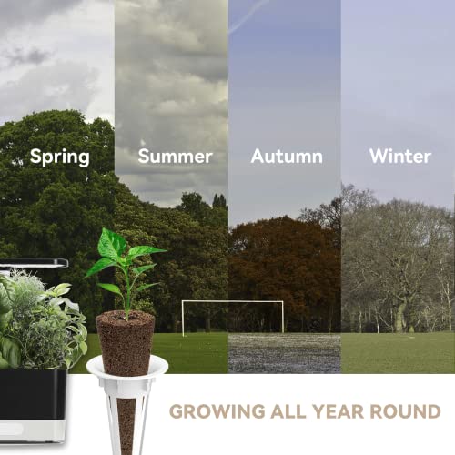 Herb Seed Starter Pod Kit Plant for AeroGarden,MUFGA, inbloom 5 Pods Hydroponics Growing System, Indoor Garden, 7-Pods (300+ Seeds Included Basil, Parsley, Oregano, Thyme, Mint, Cilantro, and Dill)