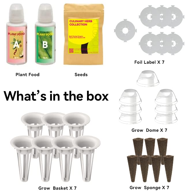 Herb Seed Starter Pod Kit Plant for AeroGarden,MUFGA, inbloom 5 Pods Hydroponics Growing System, Indoor Garden, 7-Pods (300+ Seeds Included Basil, Parsley, Oregano, Thyme, Mint, Cilantro, and Dill)