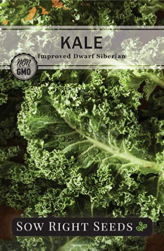 Sow Right Seeds - Kale Seed Collection for Planting - Non-GMO Heirloom Packet with Instructions to Plant and Grow a Home Vegetable Garden, Great Gardening Gift