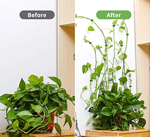 Plant Climbing Wall Fixture Clips 50 Pcs,Self-Adhesive Hook Vines Traction Invisible Holder Supporting Wire Fixing,Green Leaf Simulation for Garden Wall Clip