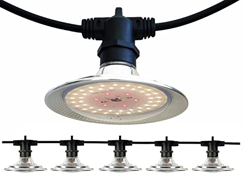 Yidasyn LED Outdoor Grow Lights String for Greenhouse Plants Waterproof 22FT(6 Lights) with 110V Plug Daisy Chain,Full Spectrum Grow Lights Outdoor for Seedling Veg Flower of Garden Backyard Farm