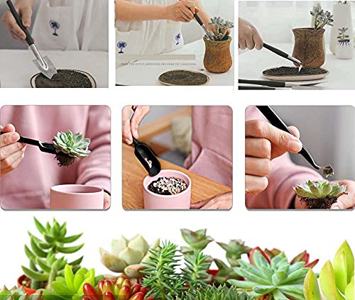 AFAKE Garden Tools Set for Men and Women,Miniature Succulent Tool Kit Seed Starter Care,Heavy Duty Gardening Tools Kit Gardening Gifts,Gardening Hand Tools Supplies for Gardener