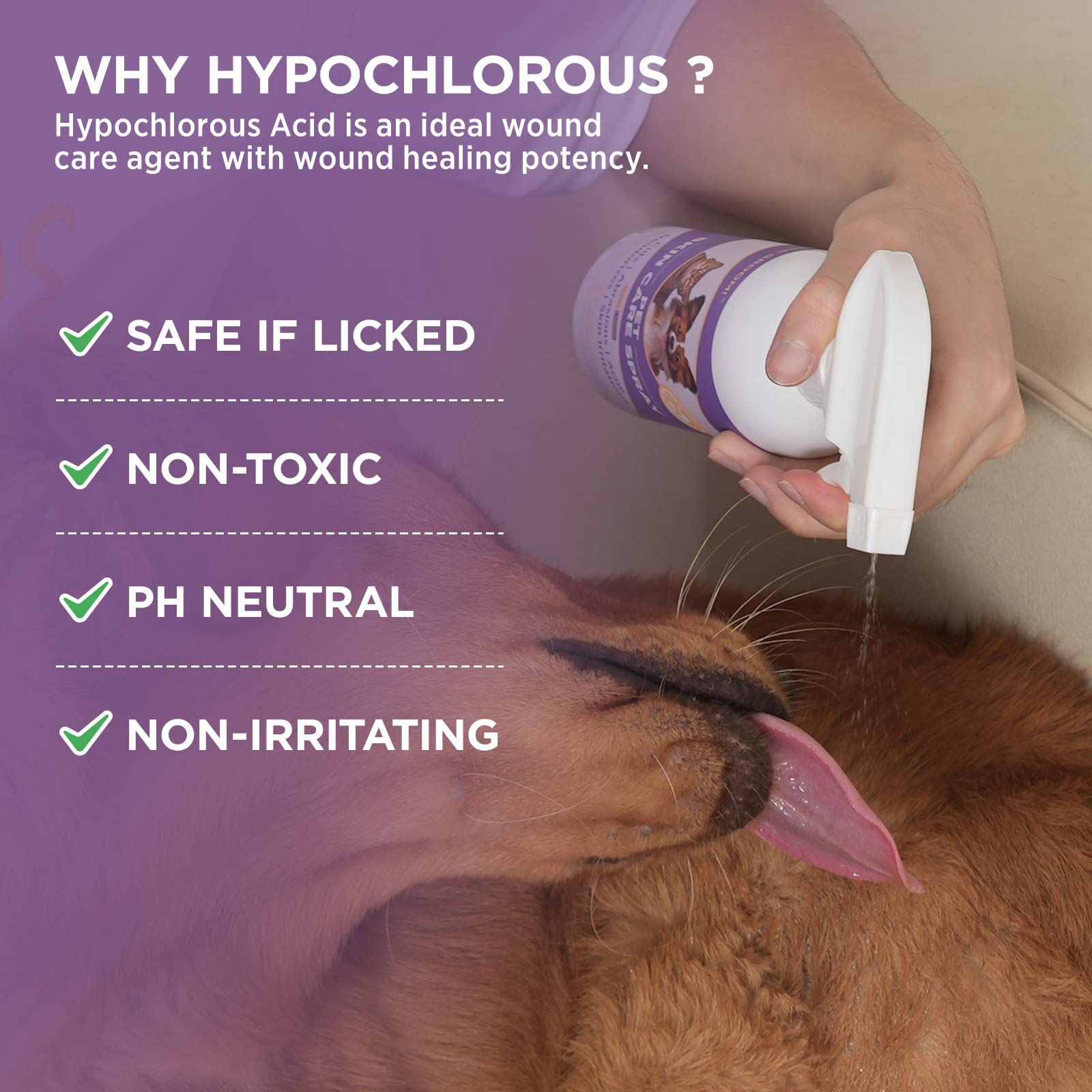 HICC PET Itch Relief Spray & Hot Spot Treatment for Dogs Cats 16.1 Fl Oz