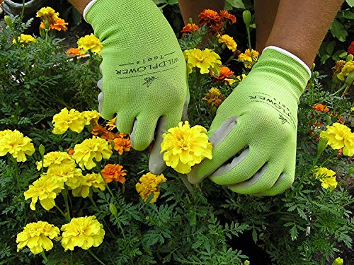 WILDFLOWER Tools Gardening Gloves for Women and Men - Nitrile Coating for Protection (Medium, Purple Pair/Green Pair with White Cuff Hem)