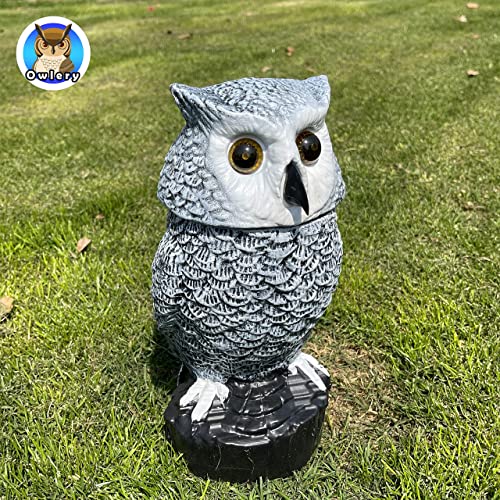 Owlery Solar Owl with Flashing Eyes, Spinning Head and Realistic Tweets, Plastic Owl Decoration for Home, Garden, Patio and Fence