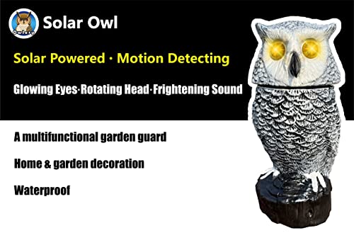 Owlery Solar Owl with Flashing Eyes, Spinning Head and Realistic Tweets, Plastic Owl Decoration for Home, Garden, Patio and Fence