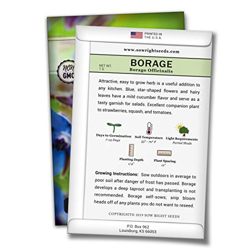 Sow Right Seeds - Borage Seed to Plant - Non-GMO Heirloom Seeds - Full Instructions for Easy Planting and Growing a Kitchen Herb Garden, Indoors or Outdoor; Great Gardening Gift (1)